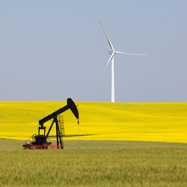 Energy Transition Risk Managment Strategy - Redford Group